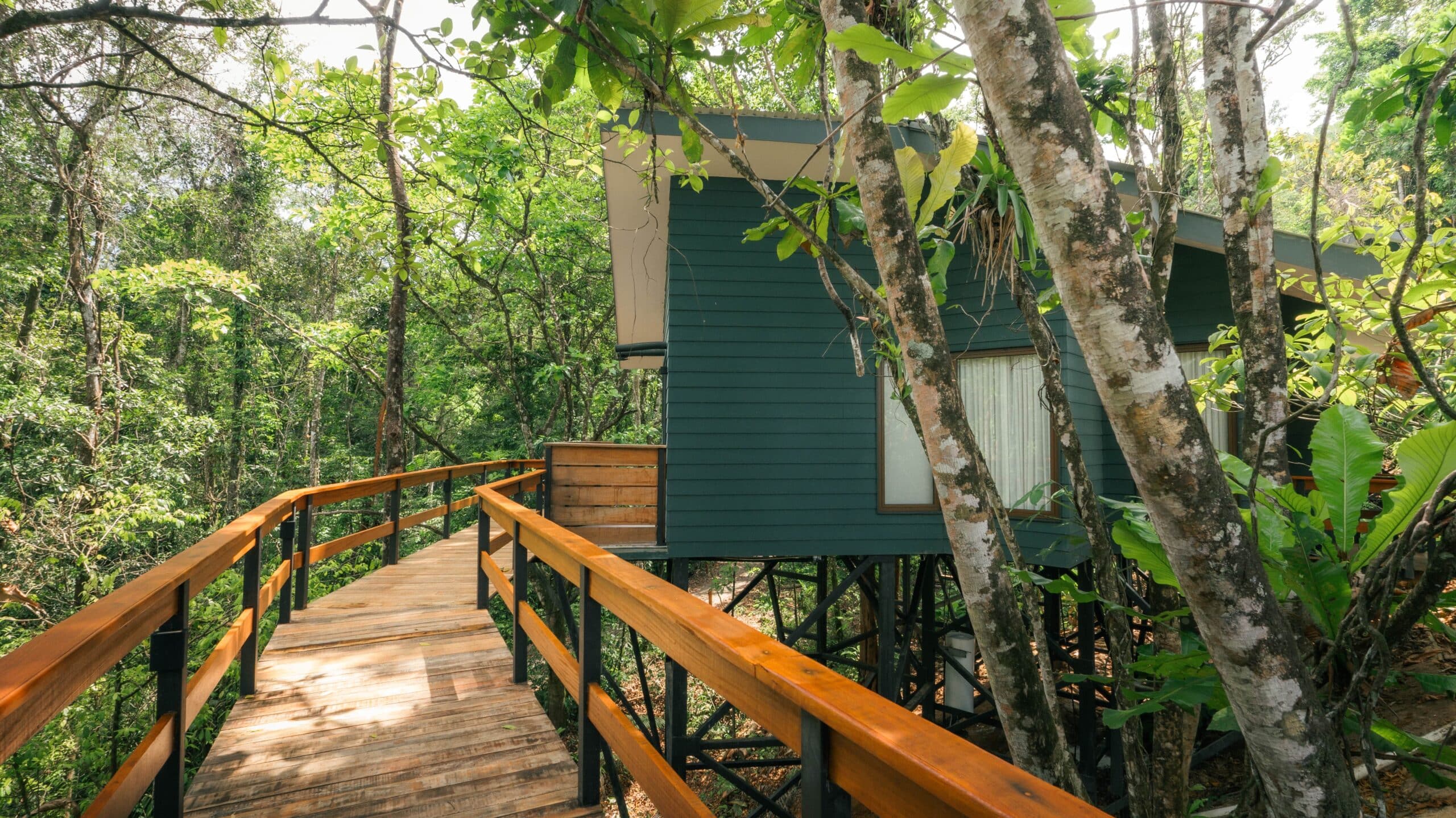 Jungle Tree House | Chachagua Rainforest Hotel